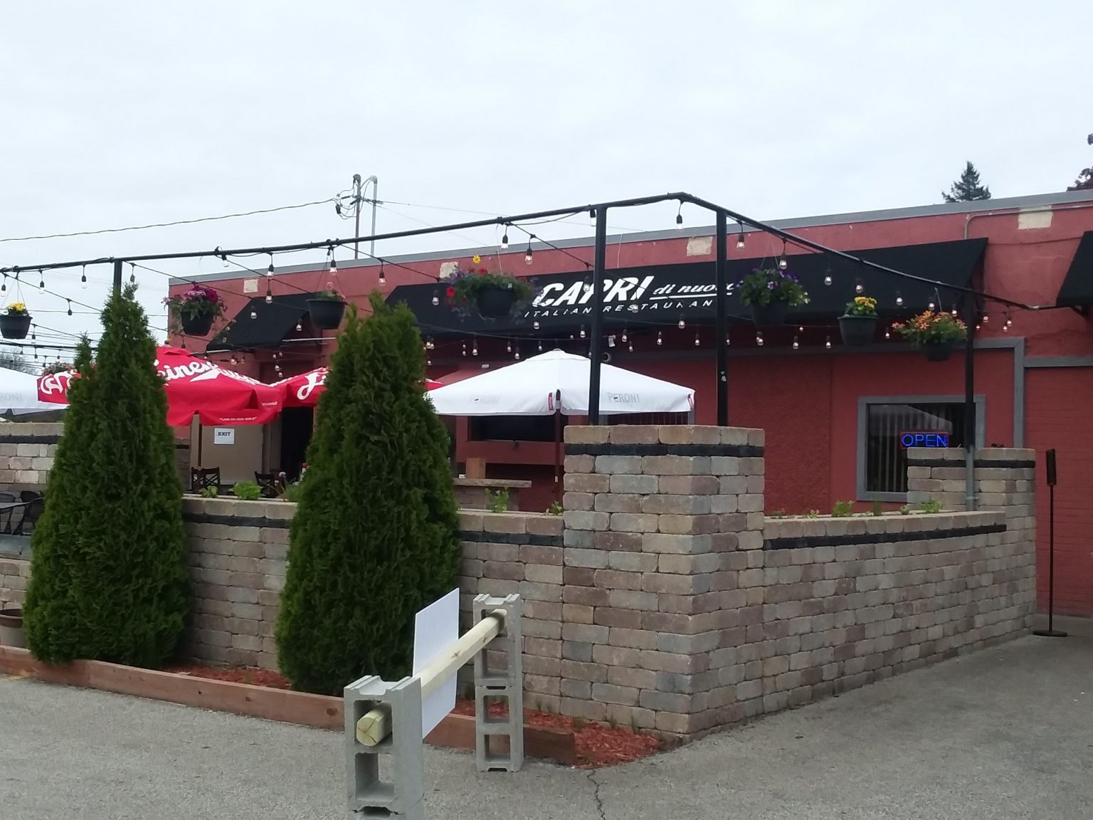 Jill P_Capri | Robertson Ryan Insurance